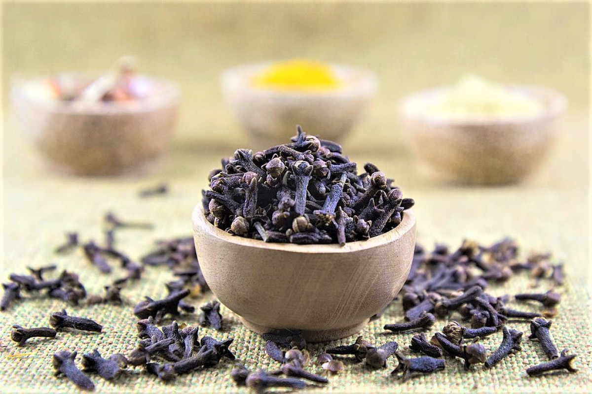 Cengkeh: Kuncup Bunga Kering Bermanfaat Tinggi untuk Kesehatan - Gaekon